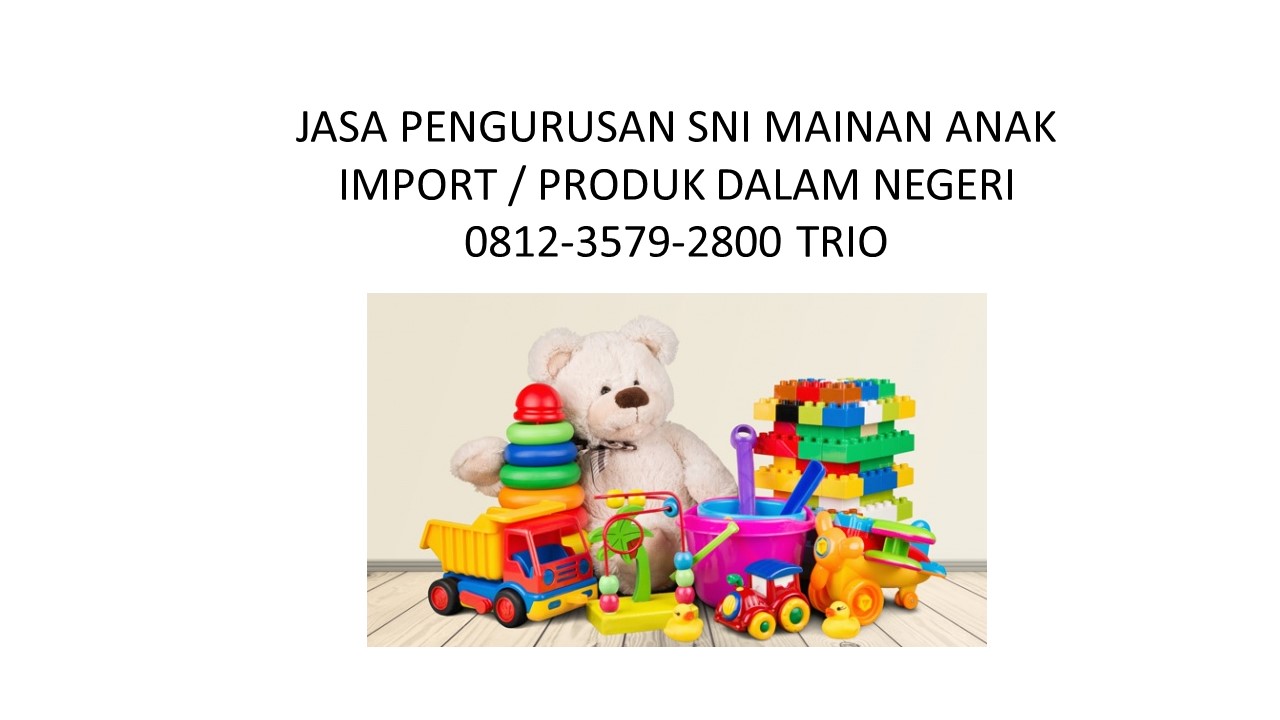 JASA PENGURUSAN SNI MAINAN ANAK - Jasa Sertifikasi ISO dan SNI